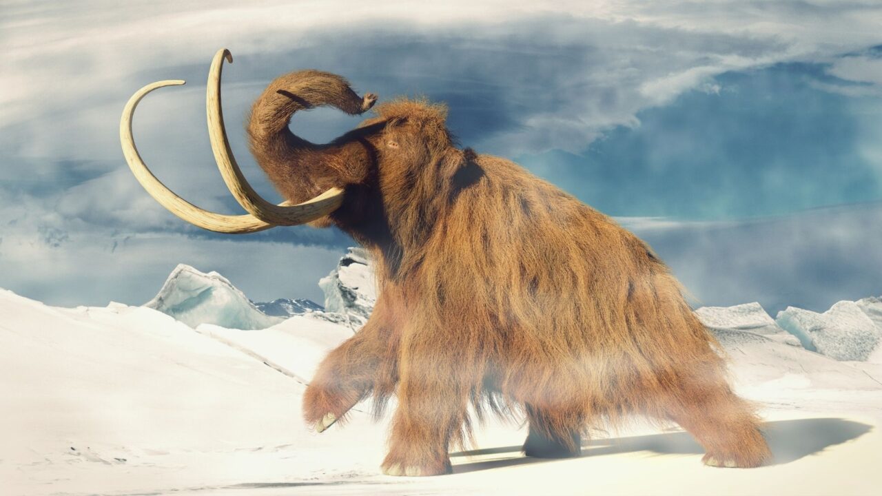 A Short Introduction to the Ice Age - English Plus Podcast