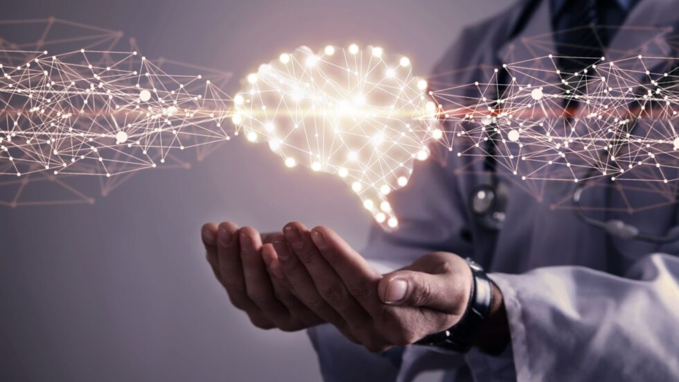 Brain Myths Episode 01 | Are Bigger Brains Smarter? - English Plus Podcast