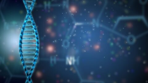 20 Scientific Discoveries That Changed the World - English Plus Podcast