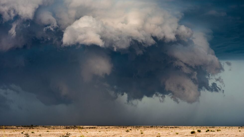Weathering the Storm: Exploring Resilience Idioms and Their Meanings ...