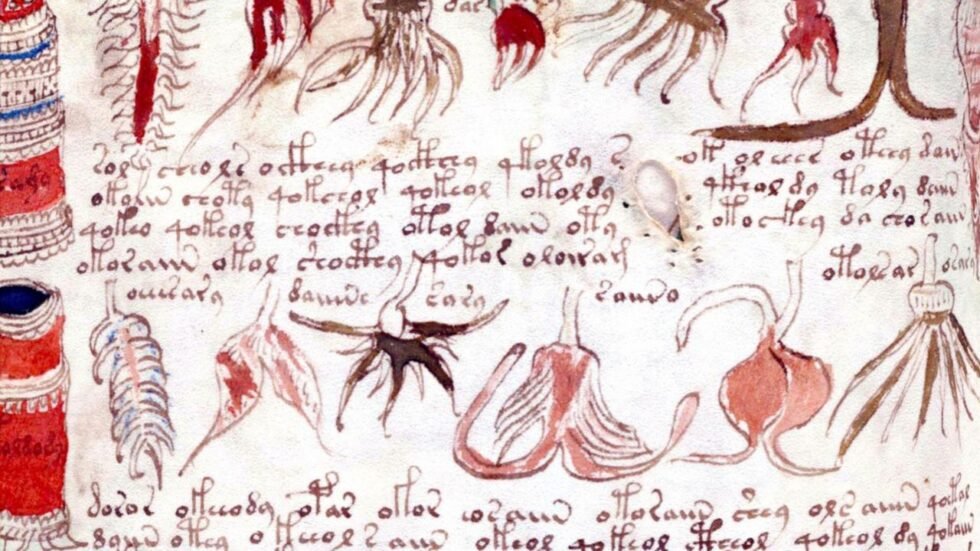 The Voynich Manuscript: A Cryptic Journey through the World's Most ...