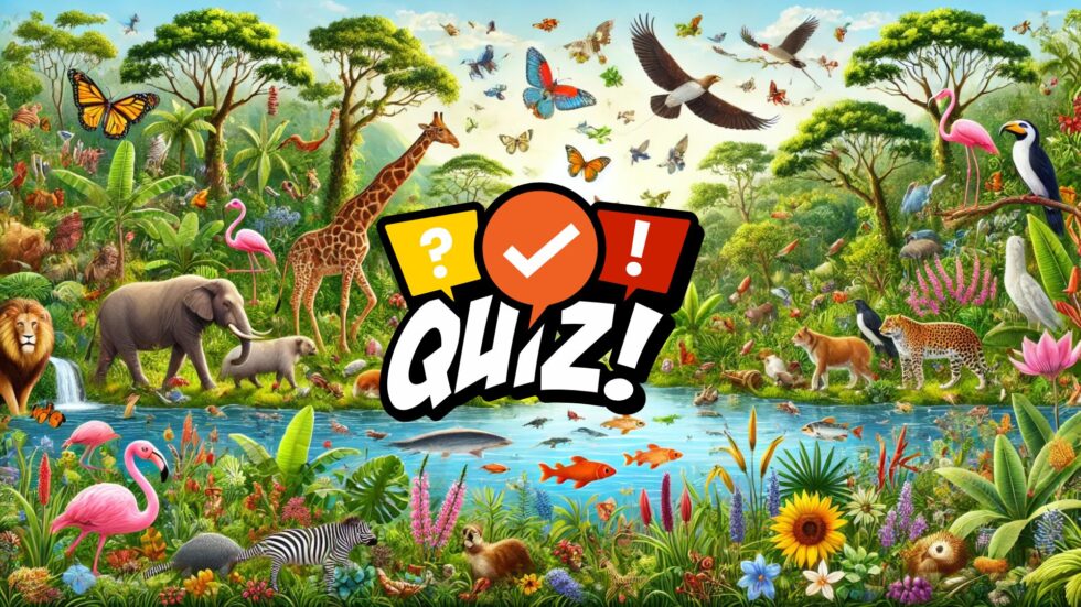 The Importance of Beliefs in Human Life: Shaping Identity, Community ...